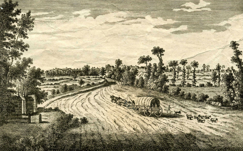 A Moving Story: Transport in East Anglia from the Middle Ages to 1900 ...